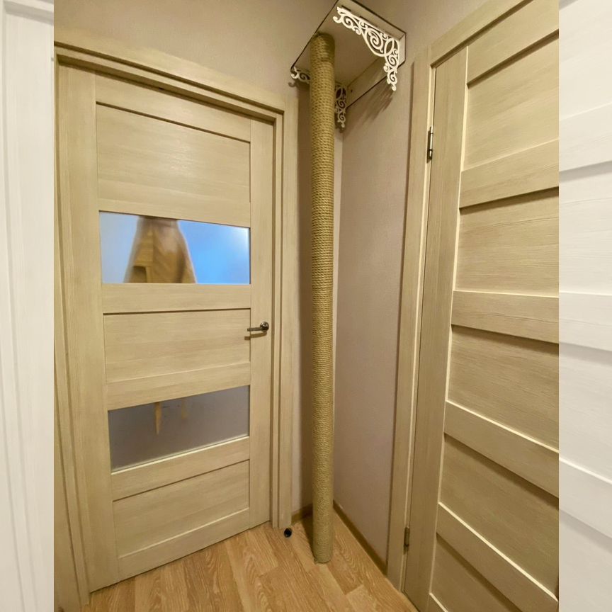 Коктеточка, лежанка для котика