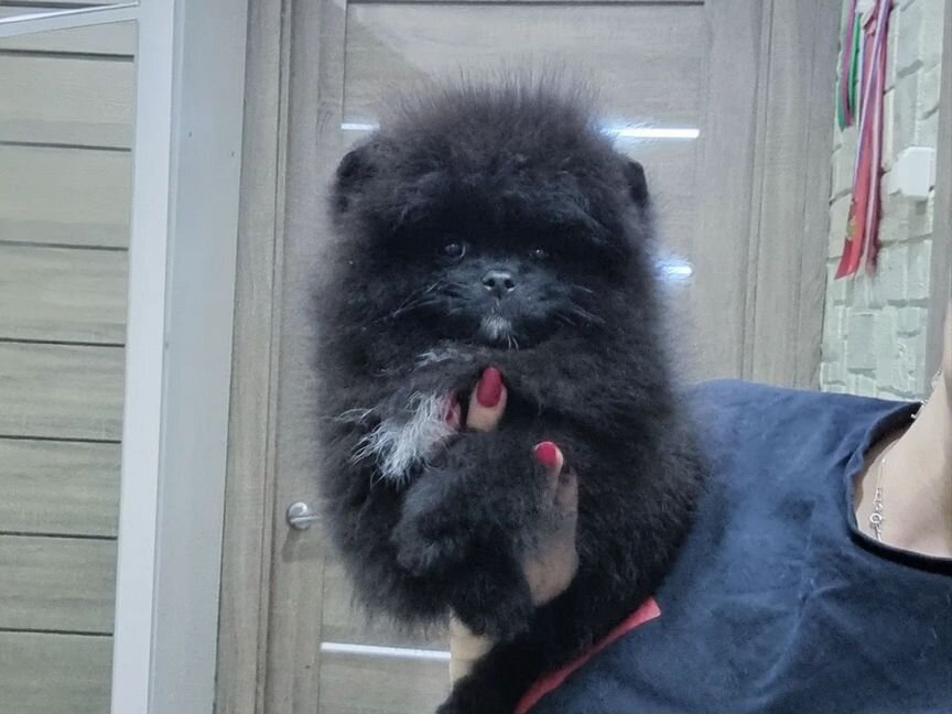 Чёрная мини куколка, очень пушистая