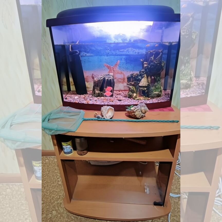 Аквариум 50л с рыбками с тумбой бу