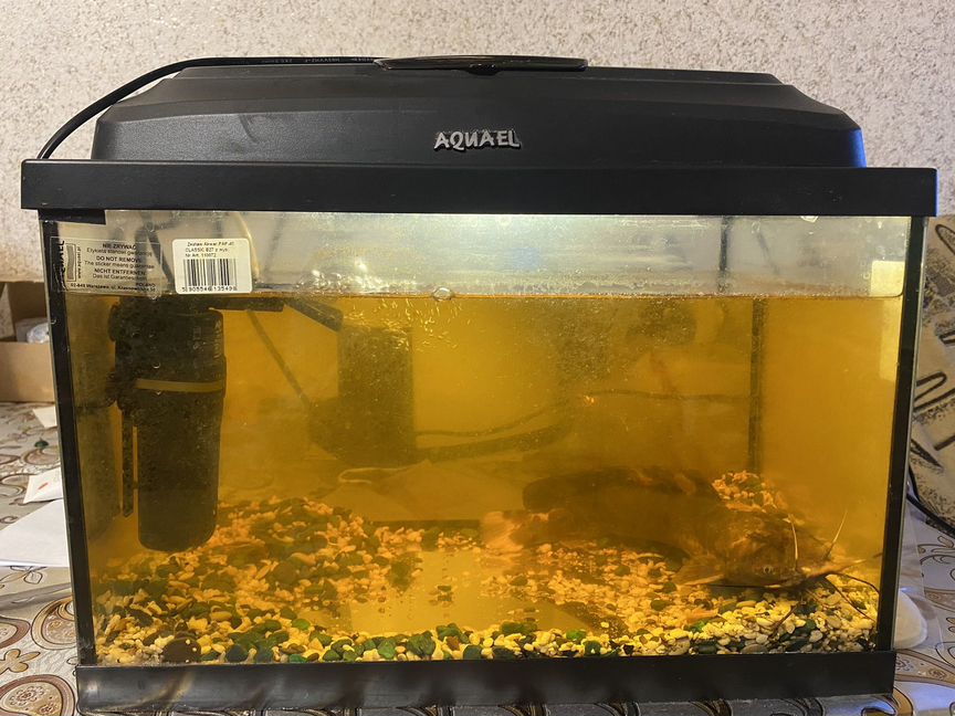 Сок клариус