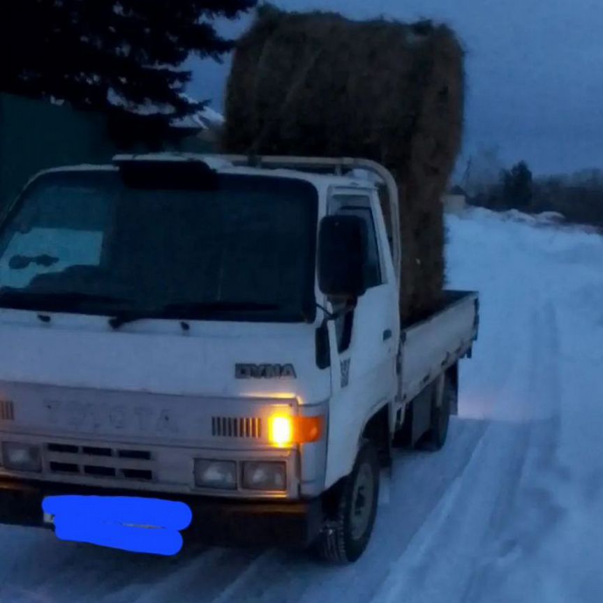 Продажа и доставка сена