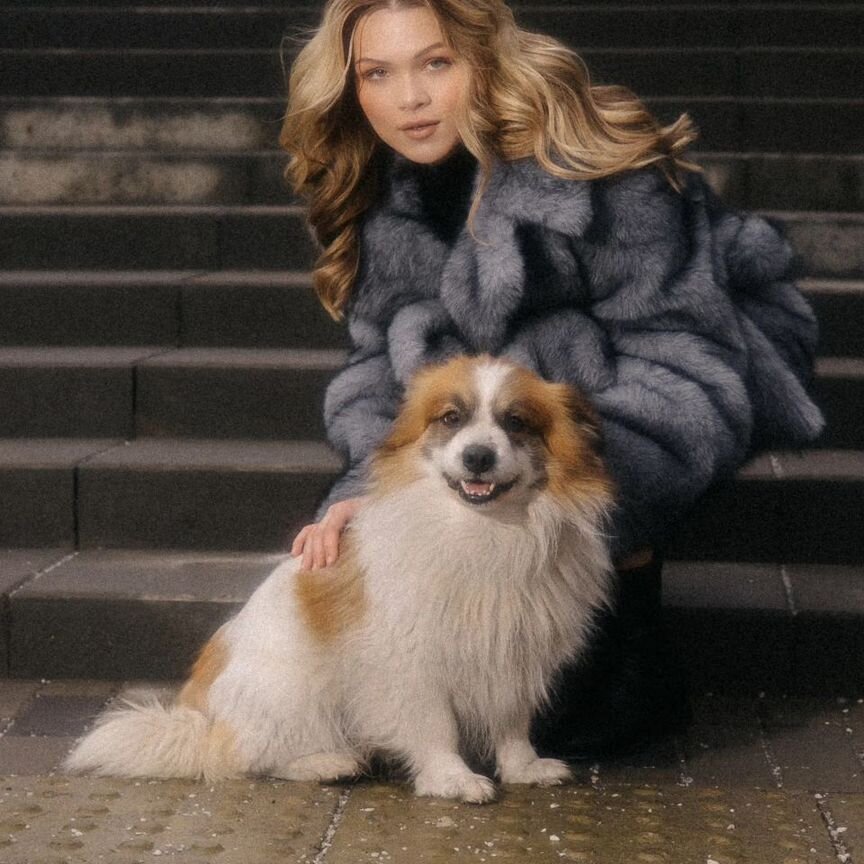 Взрослая собака в добрые руки