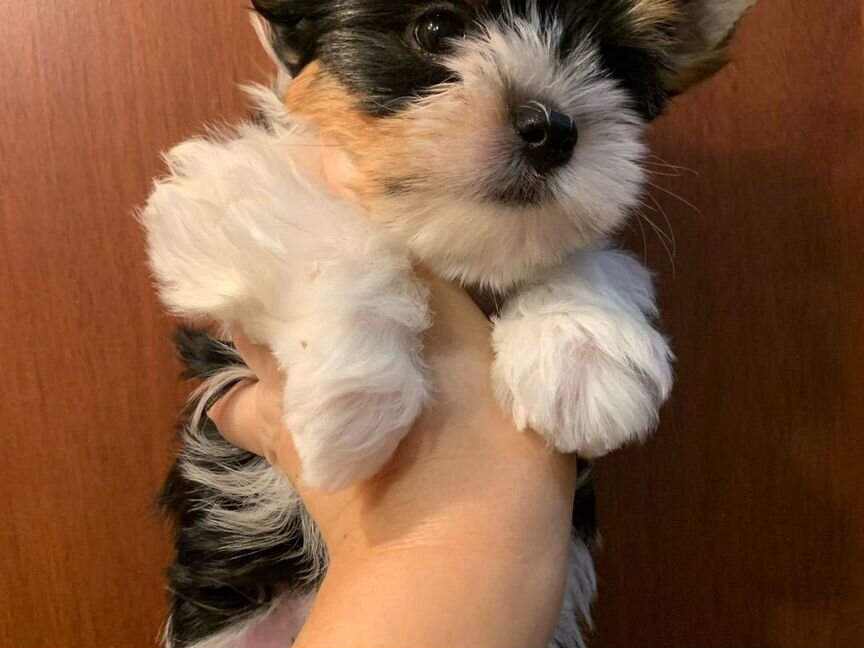 Шикарный Яркий мальчик в Москве