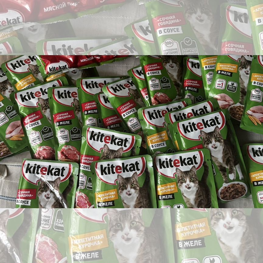 Корм для кошек