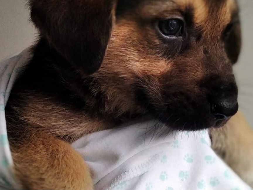 Малышка ждёт своего человека