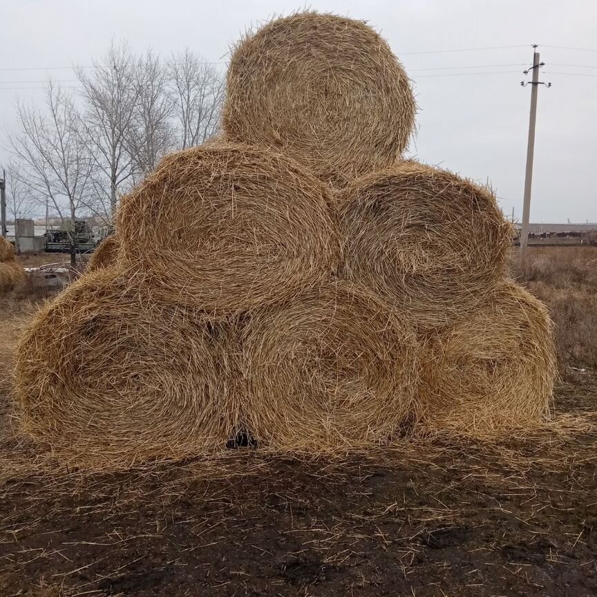 Солома в рулонах