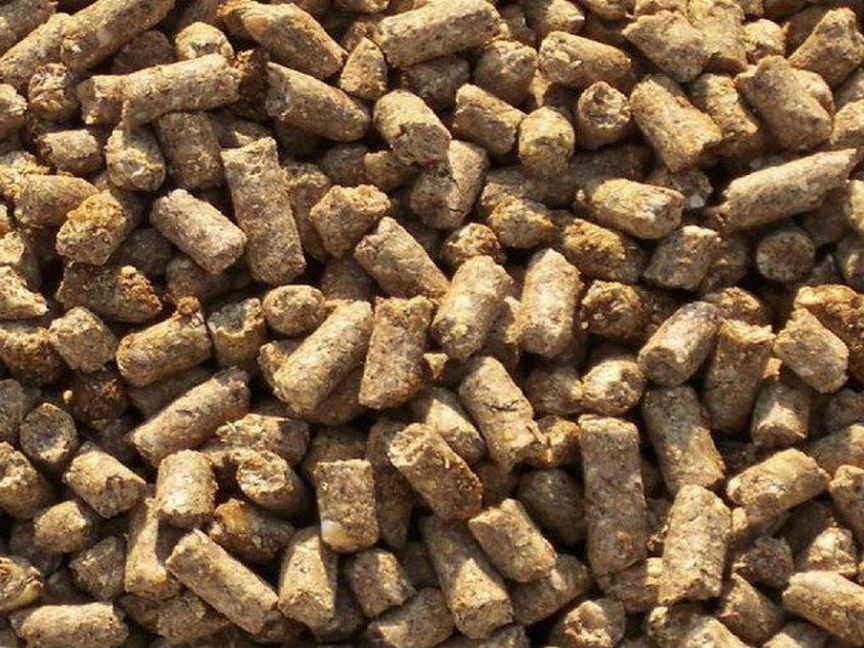 Комбикорм для телят