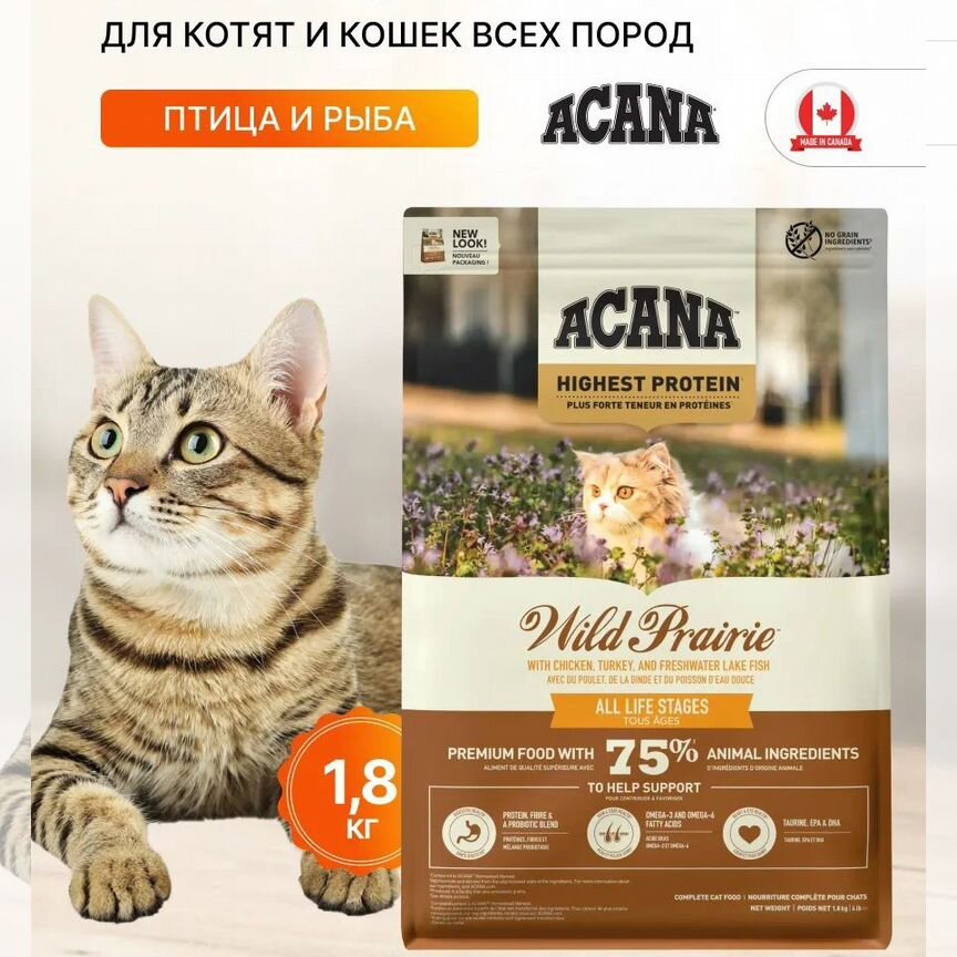 Cat & Kitten acana wild prairie (Птица, рыба) 1,8