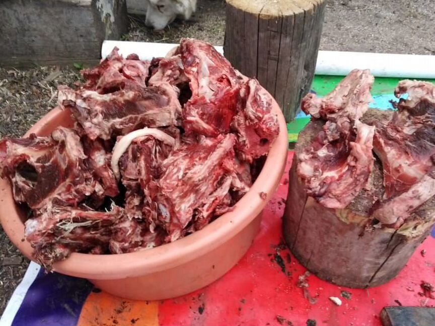 Кости для собак