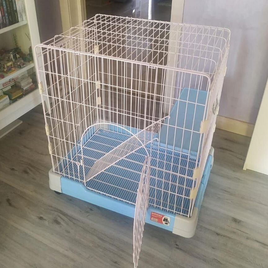Клетка