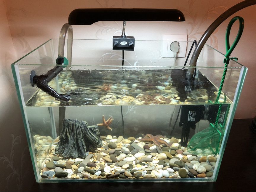 Аквариум и другое