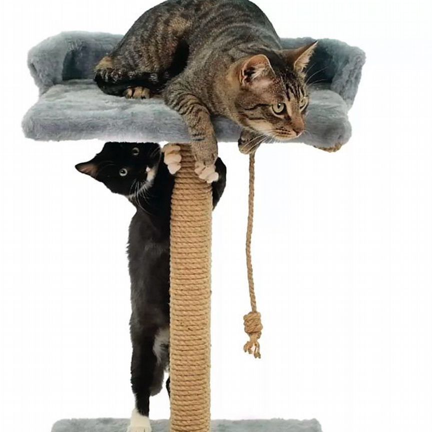 Когтеточка с наполнителями