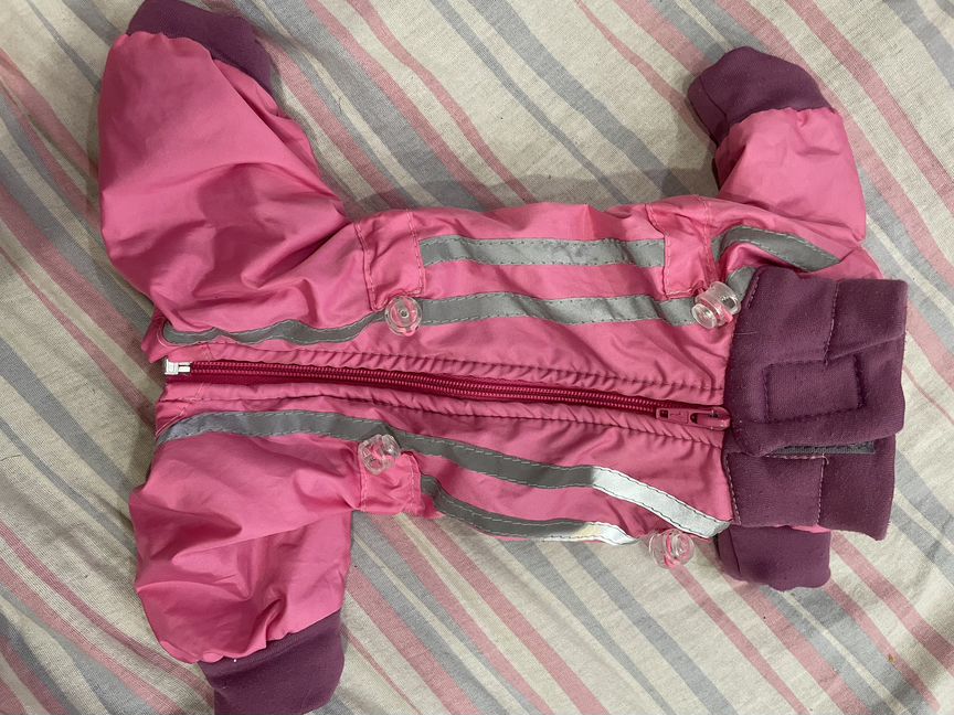 Одежда для маленьких собак