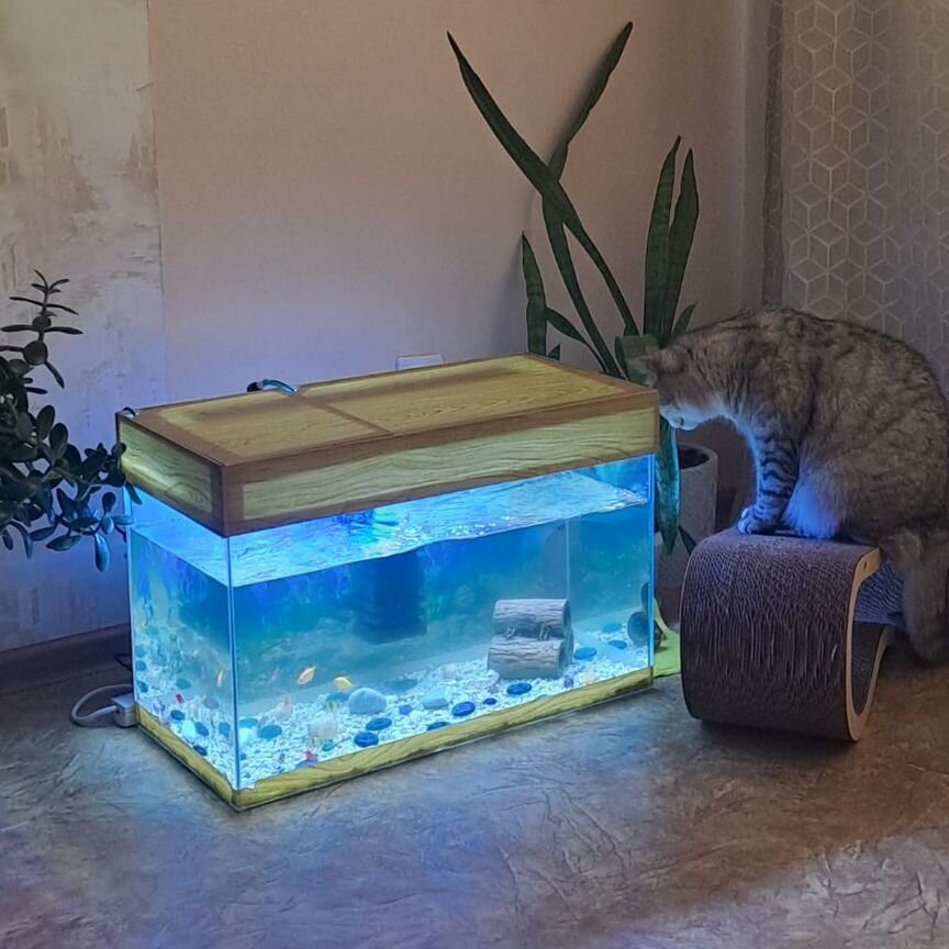 Аквариум