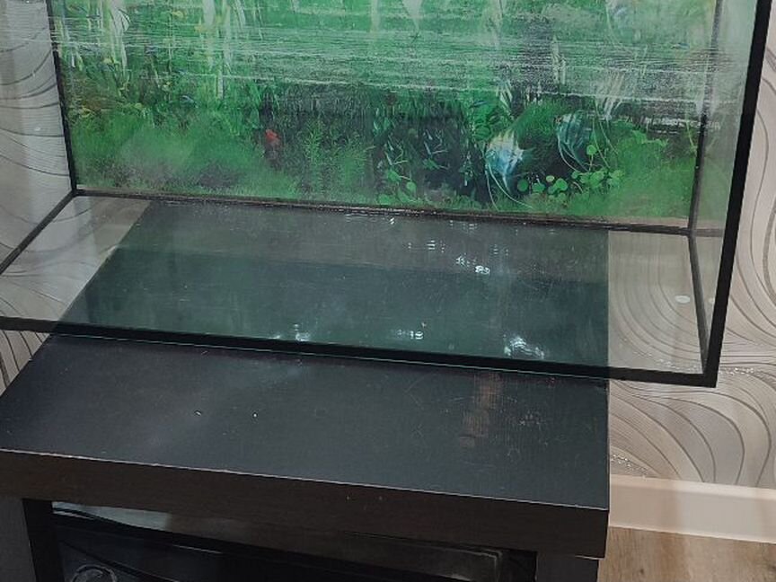 Аквариум 100 литров