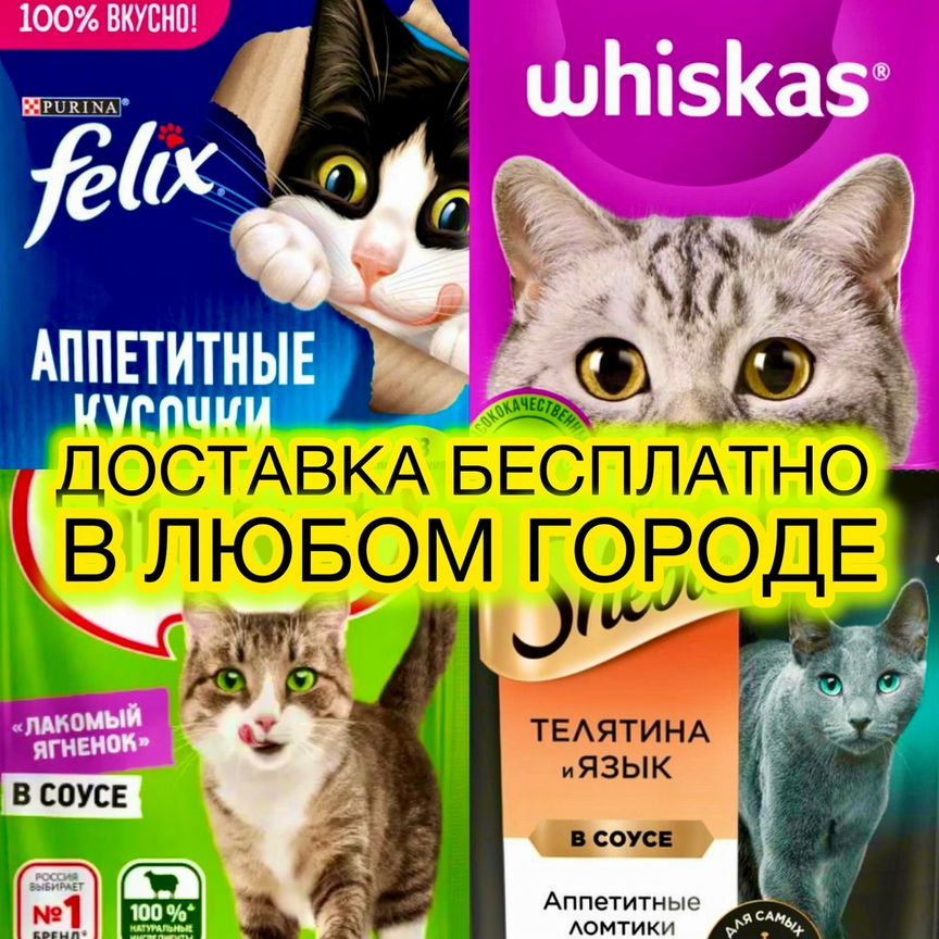 Феликс Felix Вискас Whiskas Шеба Китекет корм