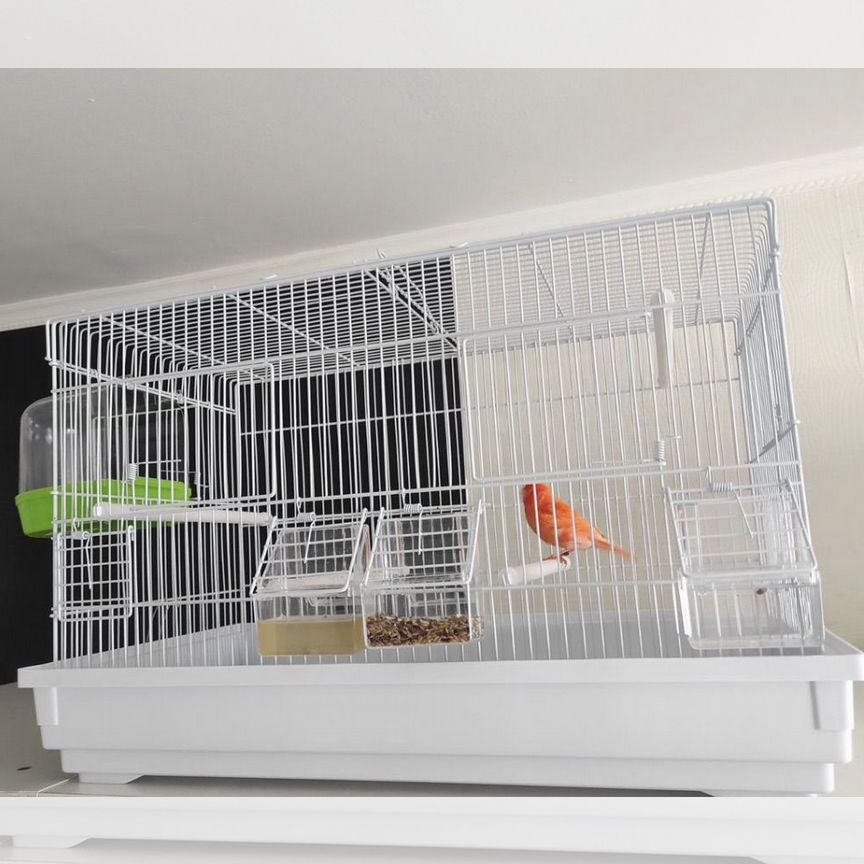 Двухкомнаткая клетка