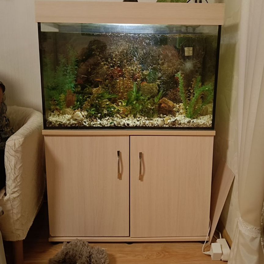 Действующий аквариум 140 литров