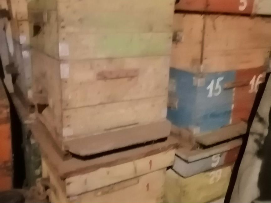 Продам ульи для пчел