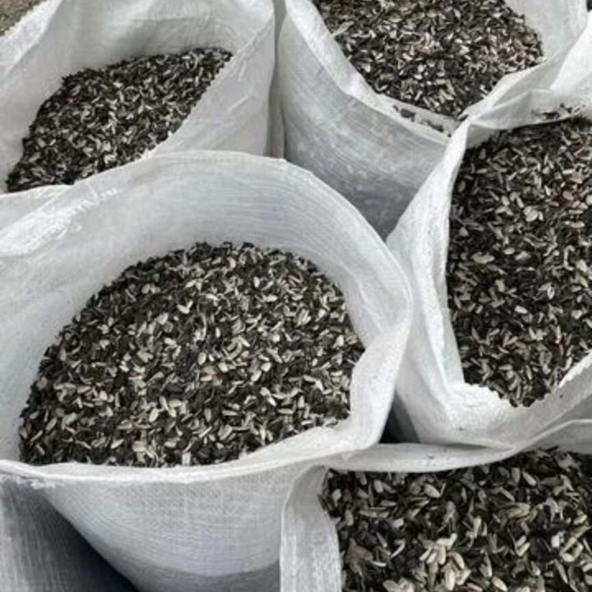 Шелуха подсолнечника