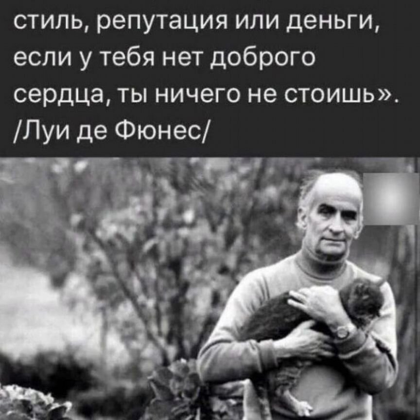 Щенки ищут дом
