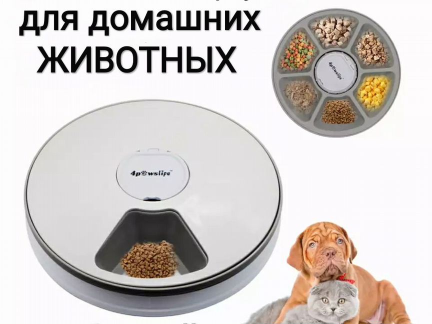 Автоматическая кормушка для животных