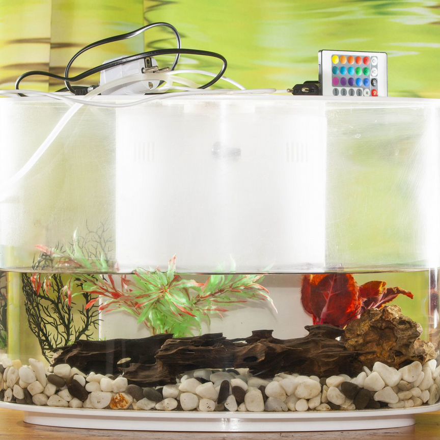 Аквариум с рыбкой