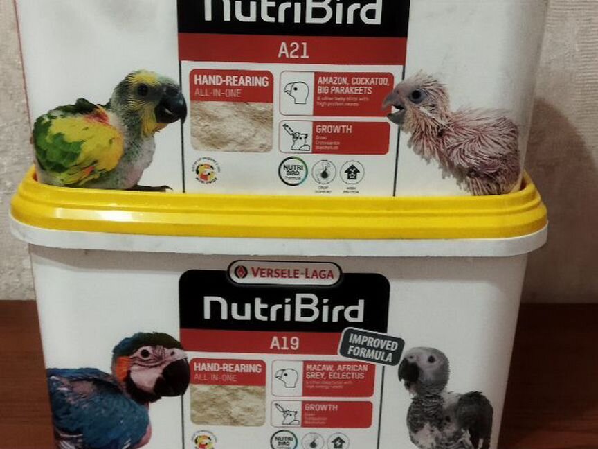 Нутриберд каша для выкармливание