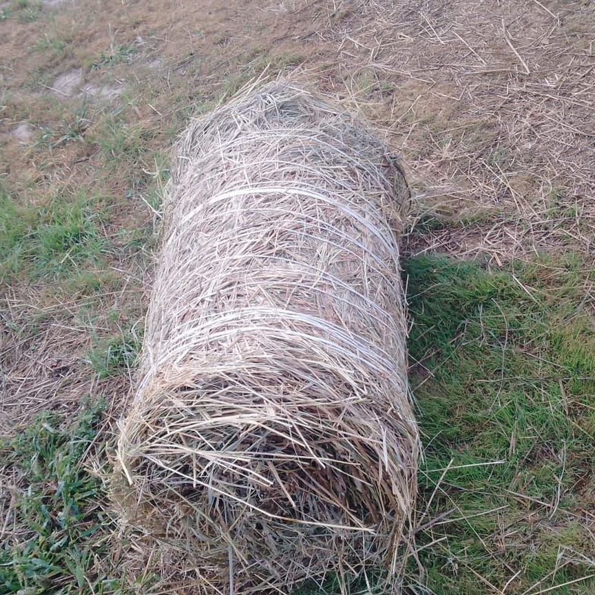 Сено в мини рулонах