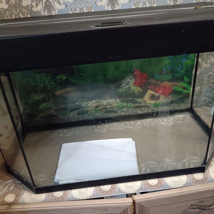 Аквариум 140л