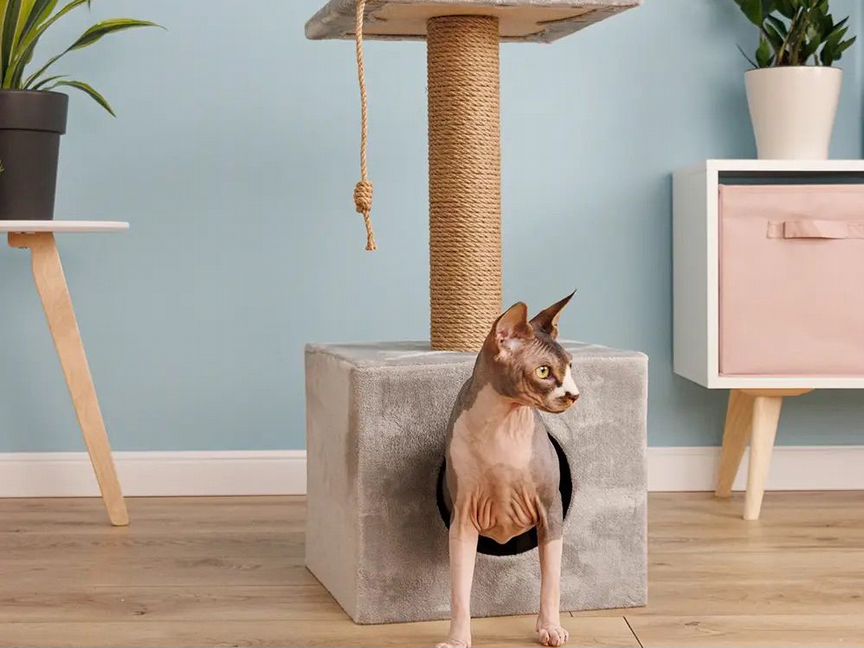 Дом-когтеточка для котика