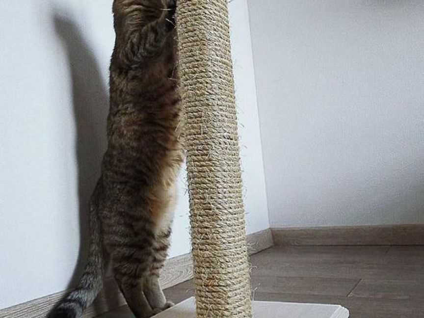 Канат веревка для когтеточки 6мм