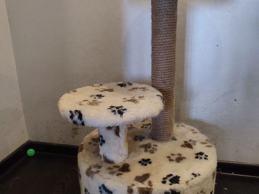 Когтеточка для кошек