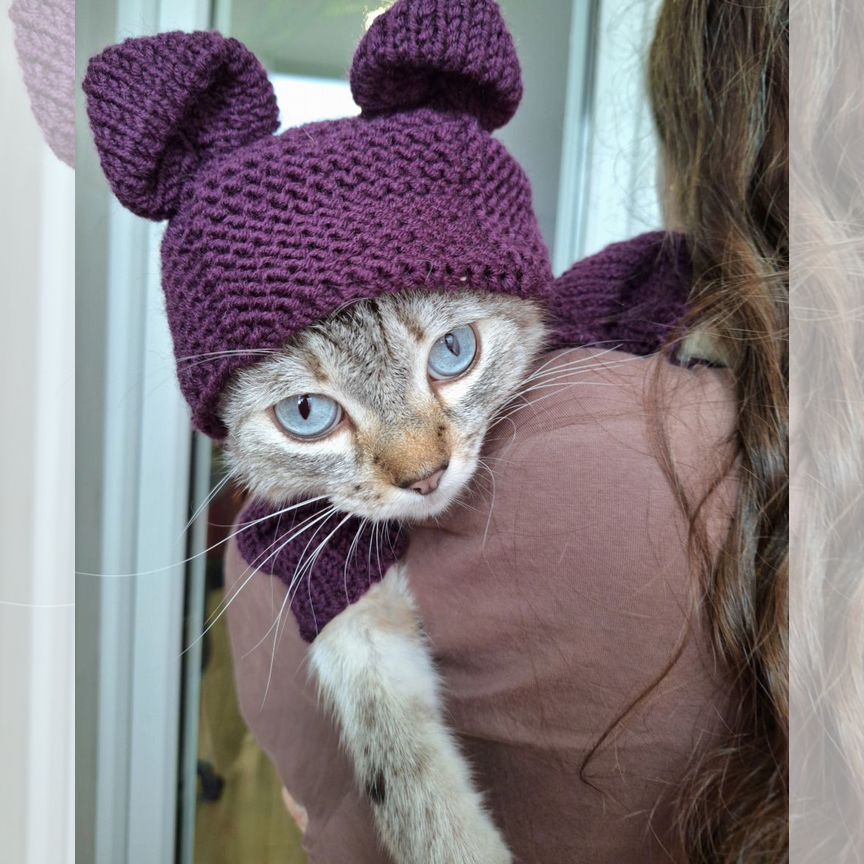 Одежда для кошек и собак