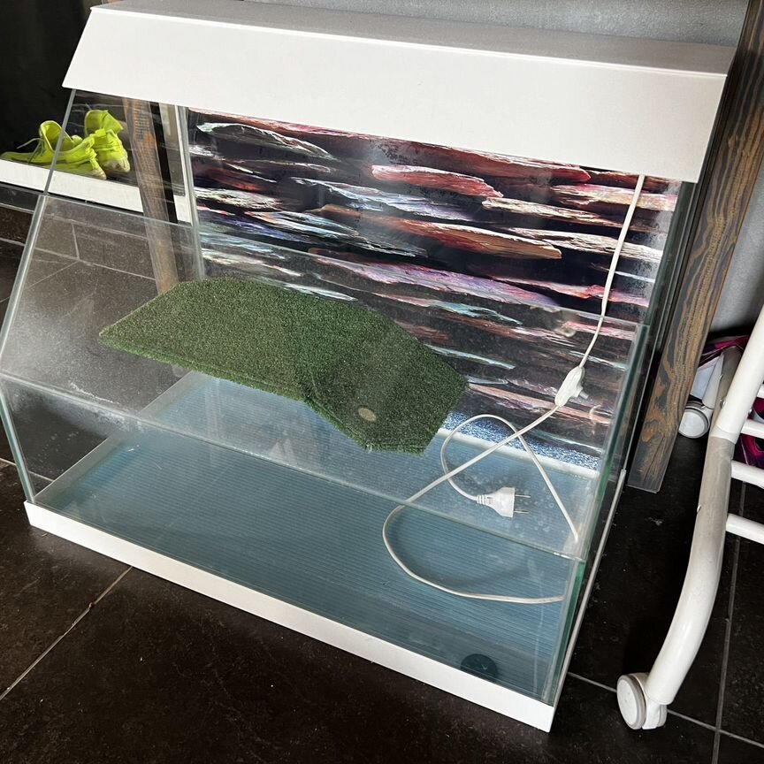 Акватеррариум с фильтром