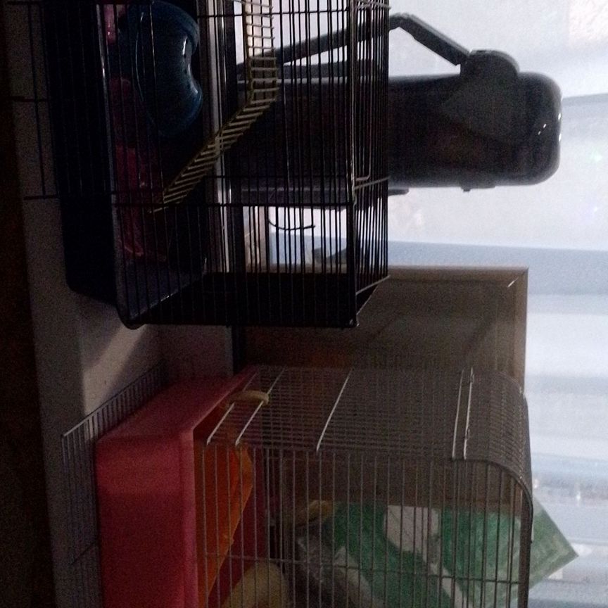 Клетки для хомяка