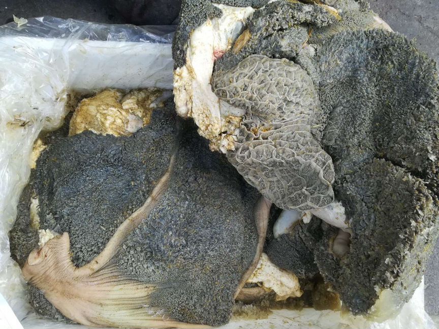 Мясопродукты для животных