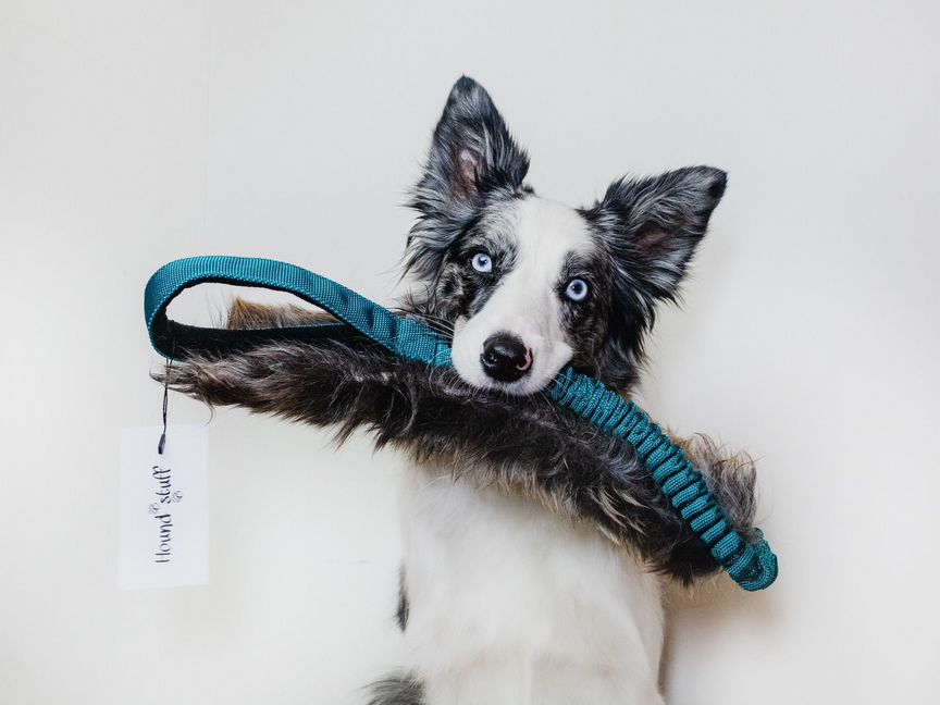 Меховой ухват для собак