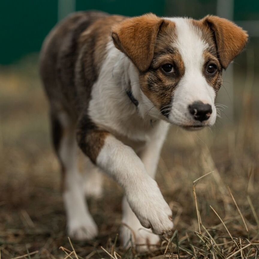 И каждый думает о том что дома ждут