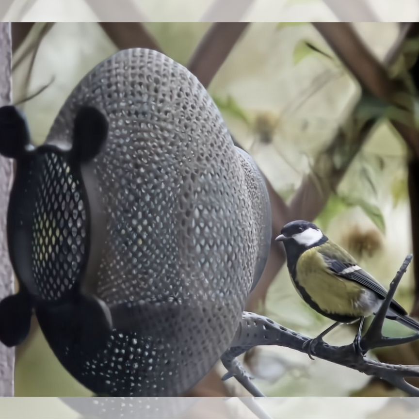 Кормушка для птиц на окно