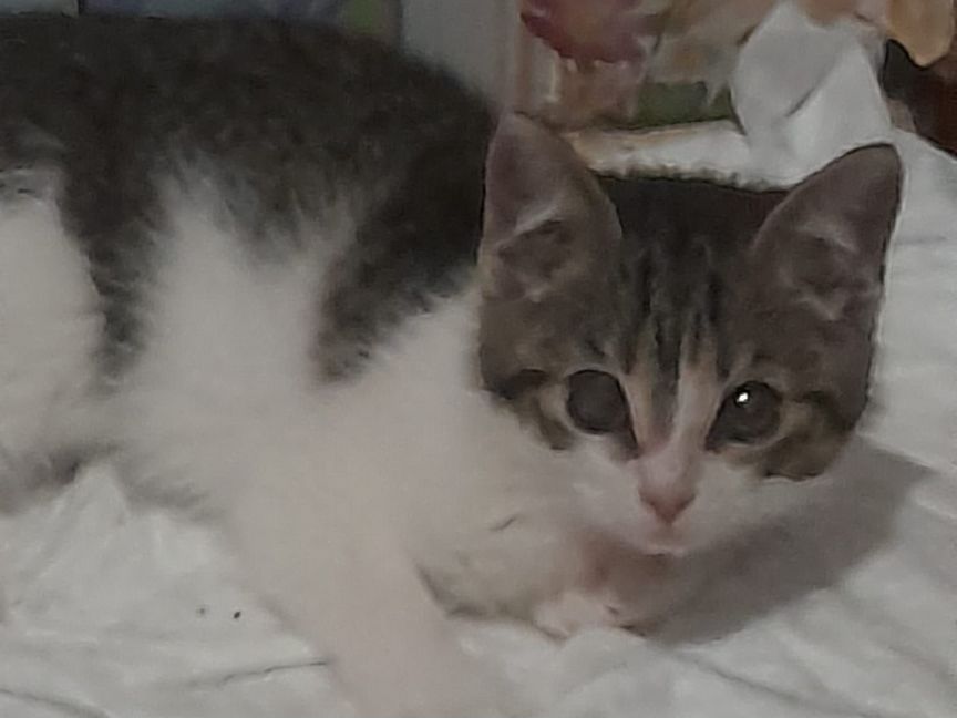 Девочка очаровашка ищет дом