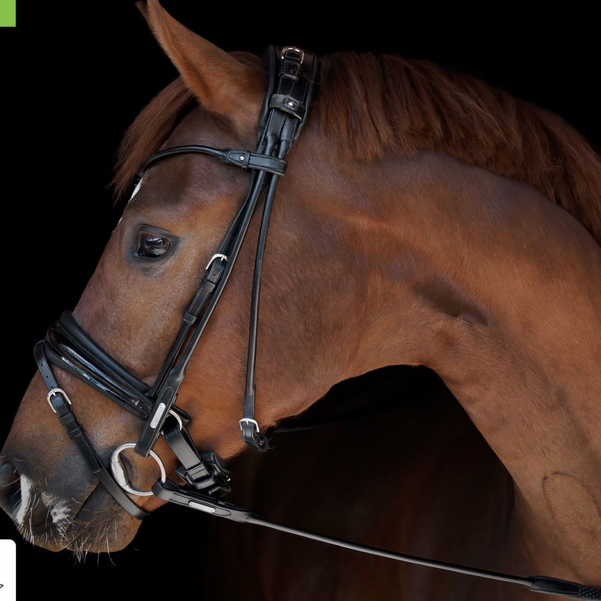 Уздечка Edinburgh от Utzon Equestrian