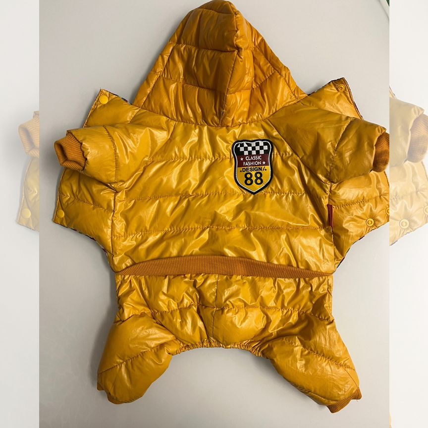 Одежда для собак