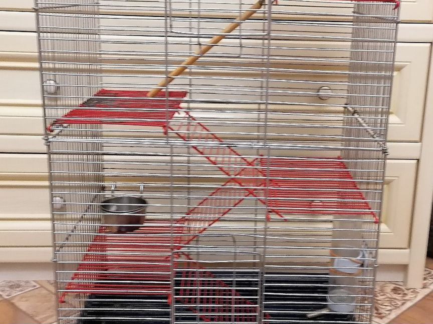 Клетка для грызунов большая