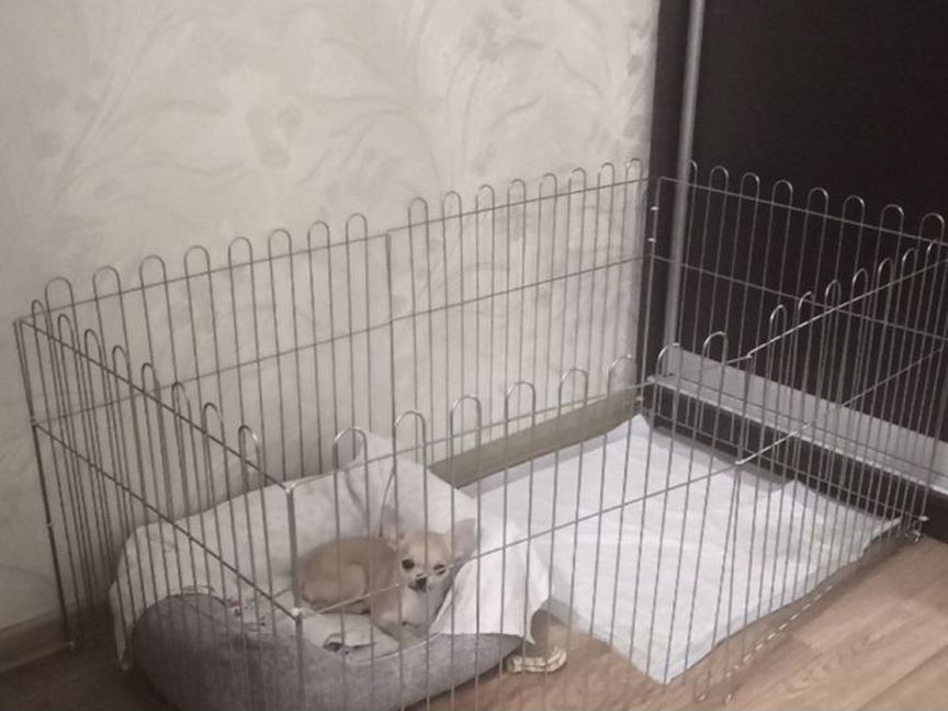 Вольер манеж для собак 6 секций высота 64,9 см