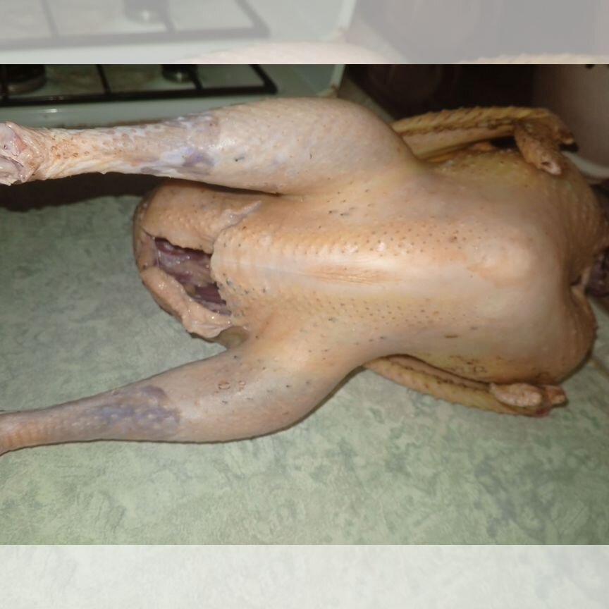 Мясо домашней птицы