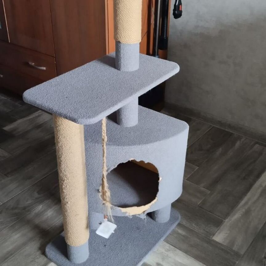 Когтеточка, кошкин дом