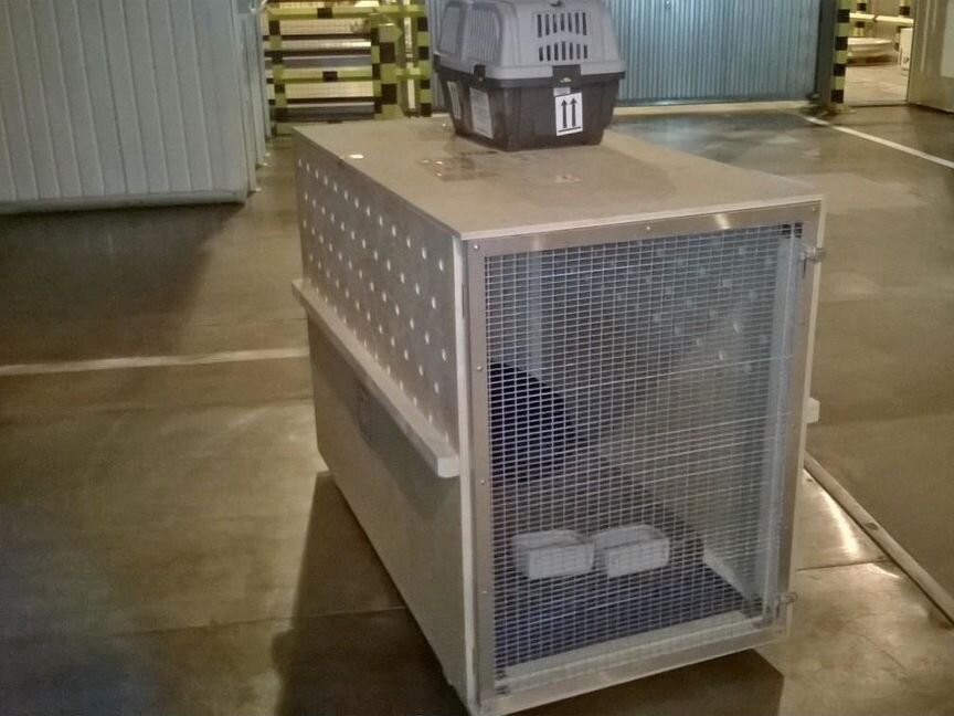 Клетки для авиаперевозки животных на заказ