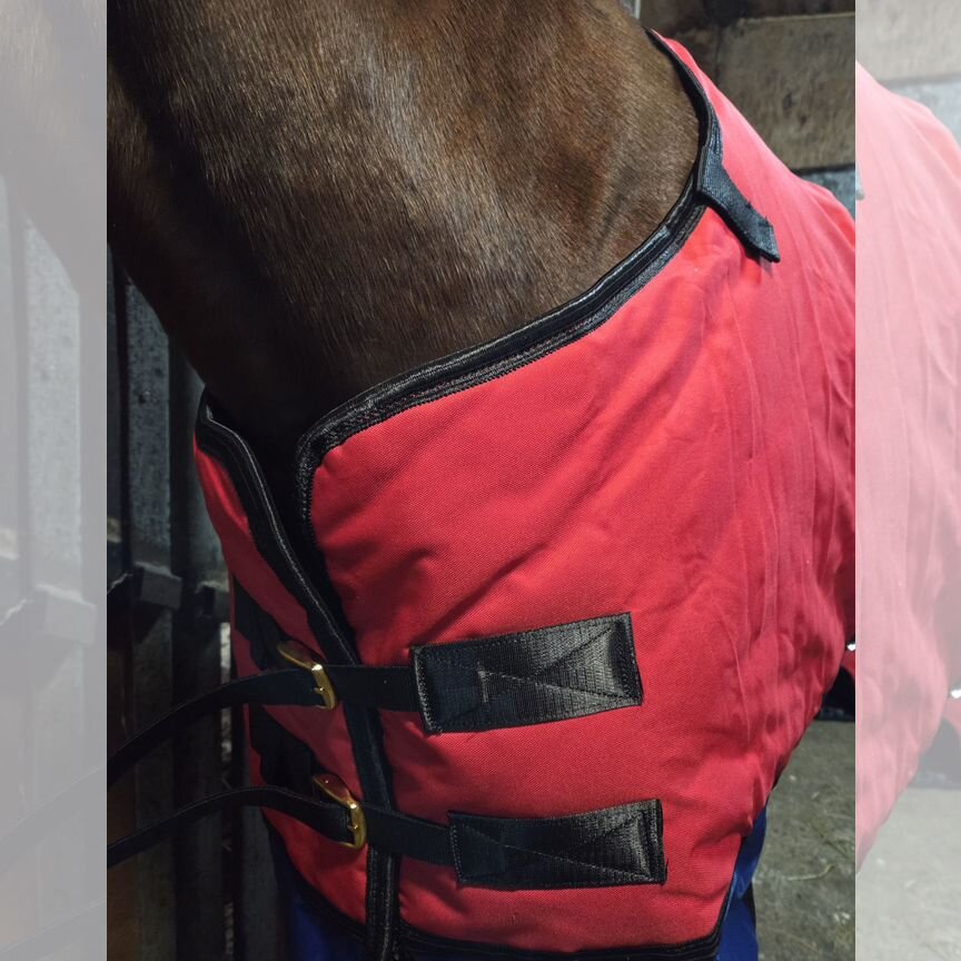 Порона зимняя 145, прогулочная с капором