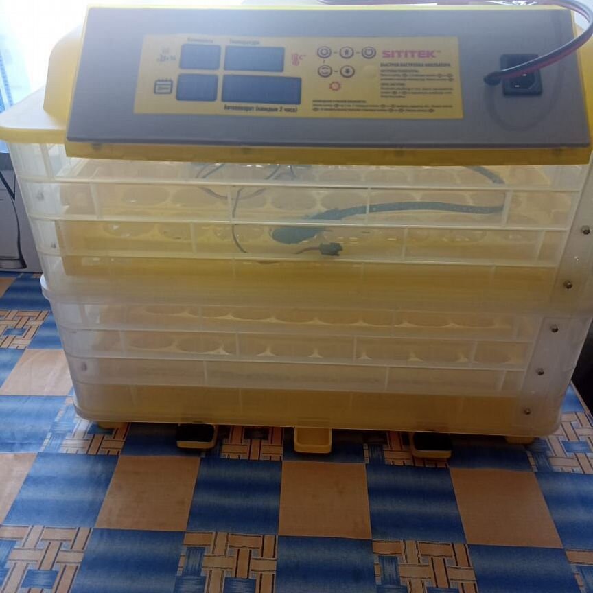 Инкубатор для яиц автоматический в перми